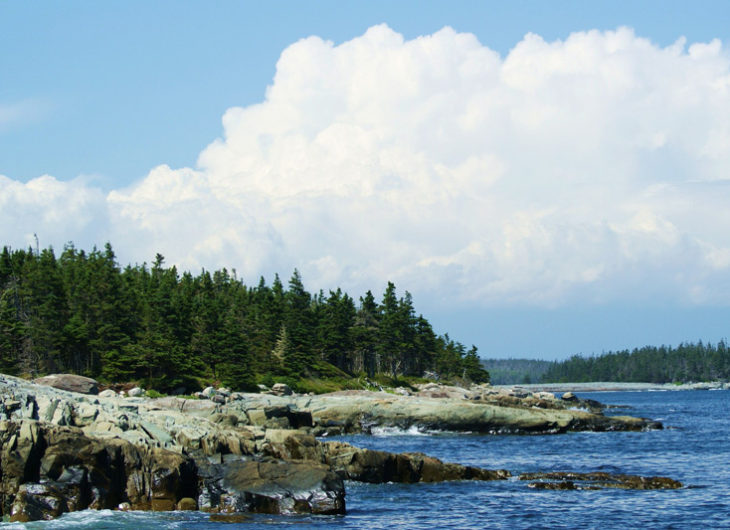 taylor-head-tour-5 - Great Earth Expeditions